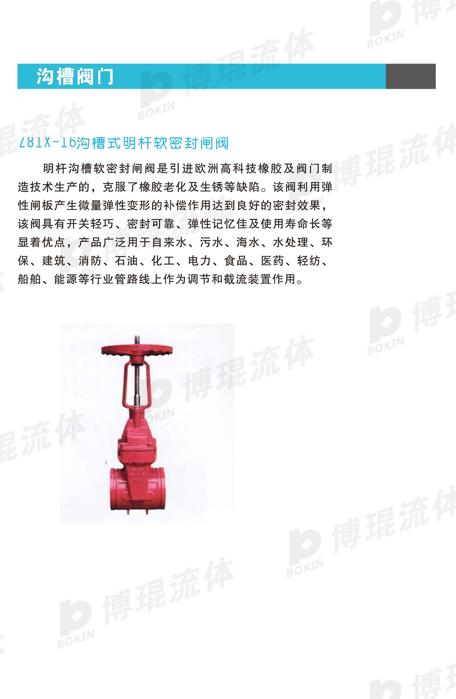 Z81X-16沟槽式明杆软密封闸阀 - 江苏博琨流体科技有限公司